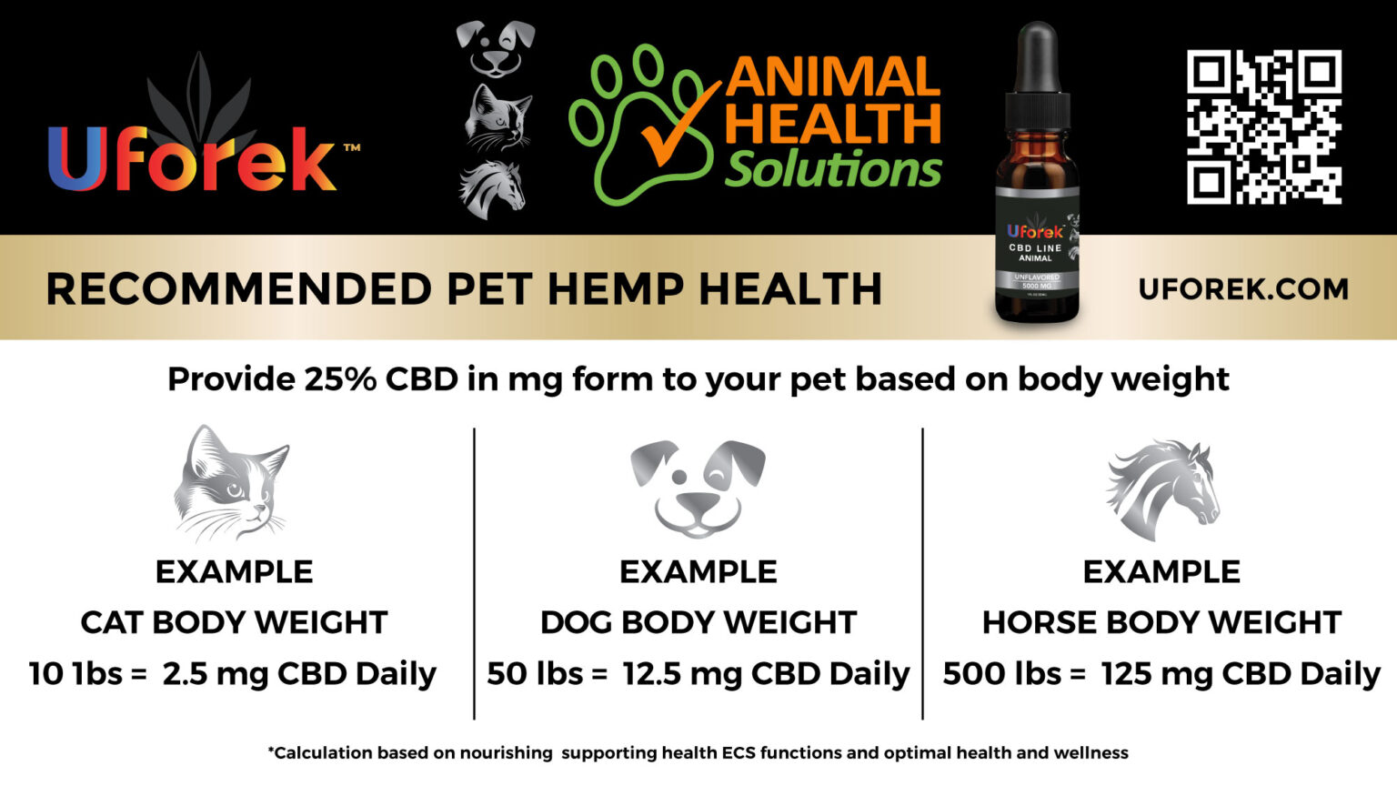 Extraordinary Products – Uforek