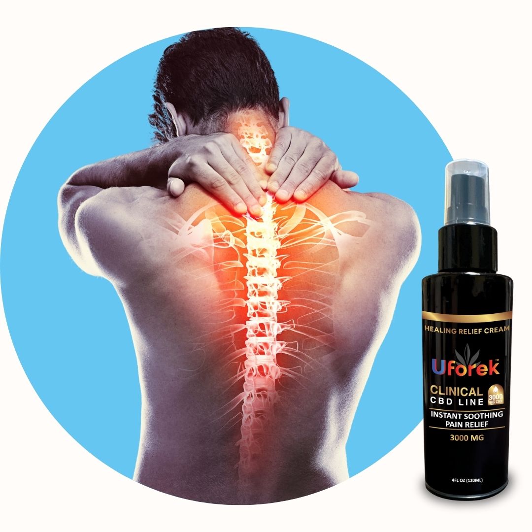 UF Homepage - Uforek